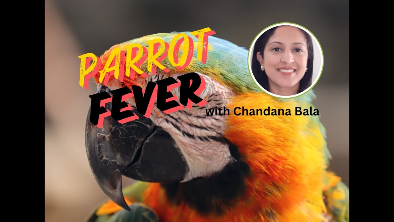 What is parrot fever, or psittacosis? - YouTube