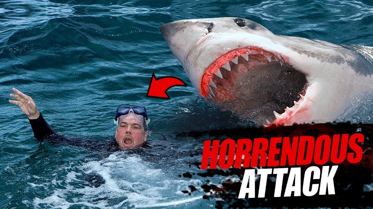 The SHOCKING Shark Attack on Eric Nerhus - YouTube