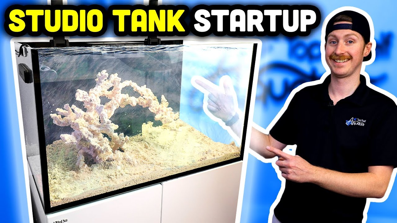Studio Tank is LIVE! - YouTube