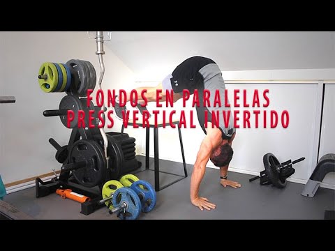 Press vertical invertido - Entrenamiento fuerza (torso) - YouTube
