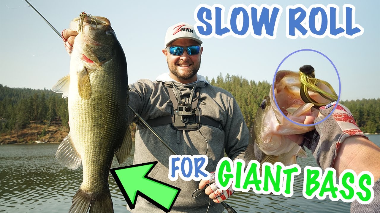 How to Slow Roll Like a Pro Fisherman for GIANT BASS! Bass fishing Tips ...