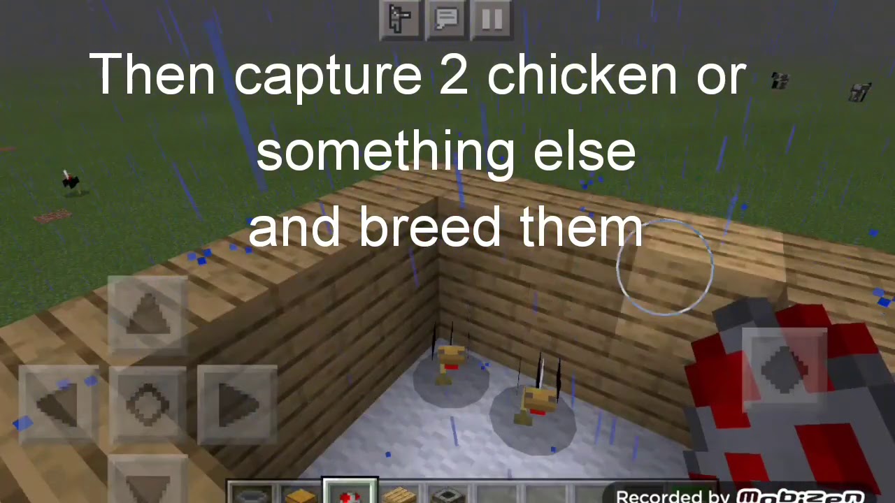 Easy cooked food farm in minecraft poket edition - YouTube
