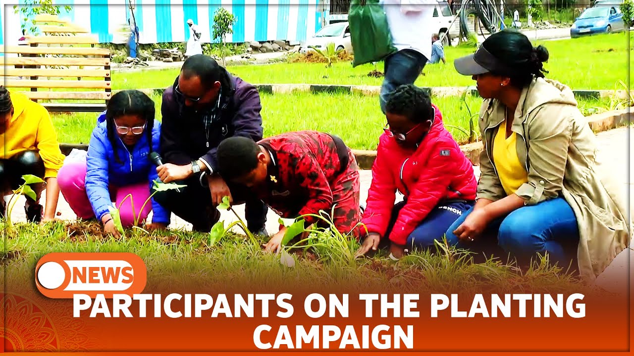PARTICIPANTS ON THE PLANTING CAMPAIGN - YouTube