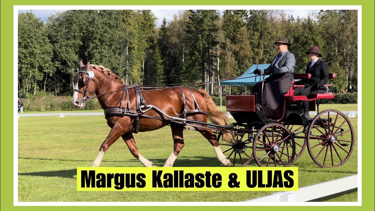 TAGADI RAKEND & EHS KARIKASARI 2023 / Margus Kallaste & ULJAS, groom ...