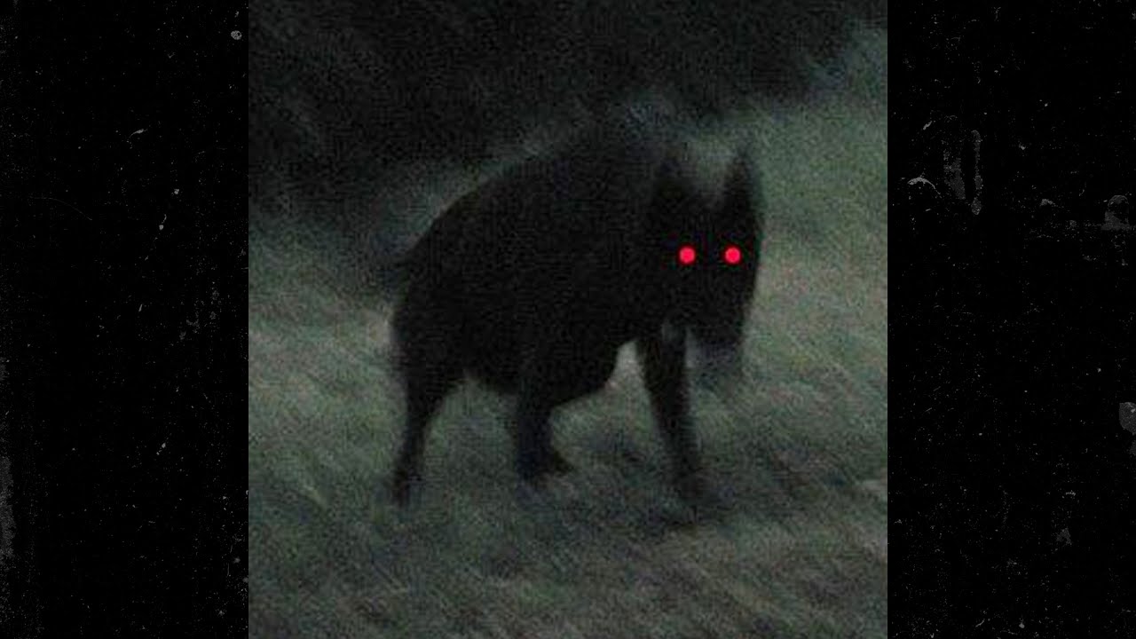 'ROACH' Token x JID Type Beat 2022 | Underground Trap Type Beat - YouTube