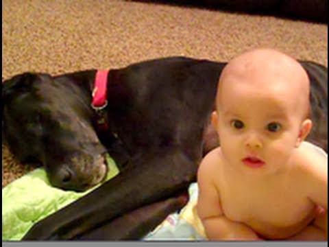 NAKED BABY ATTACKS HUGE DOG!