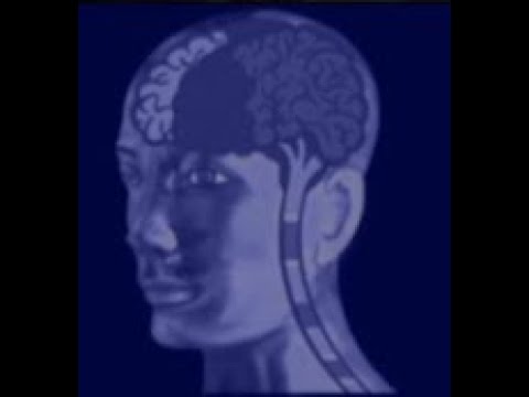 BREIN/BAF Theme | EARRAPE EDITION (Get A Life - Ian Anderson) - YouTube