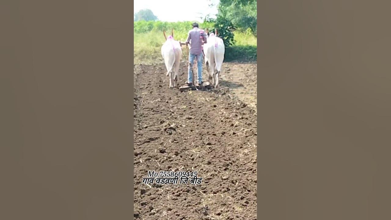 October 7, 2024 - YouTube