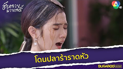 ฮักหลายมายเลดี้ l ละครช่อง 7HD ละครย้อนหลัง - YouTube
