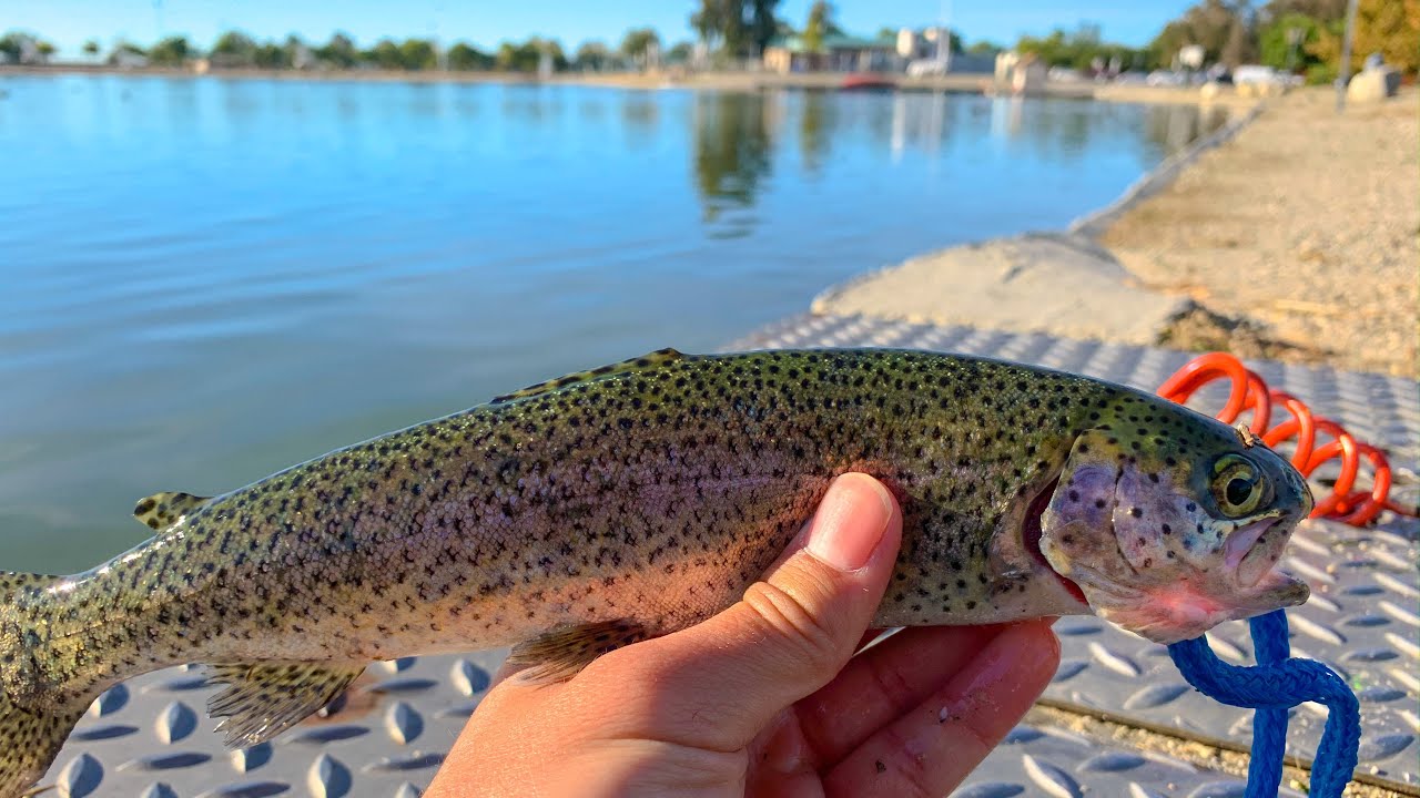 Hansen Dam Trout Fishing - YouTube