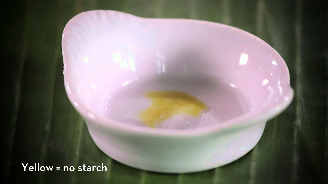 Carbohydrates and starch : color test with iodine solution - YouTube