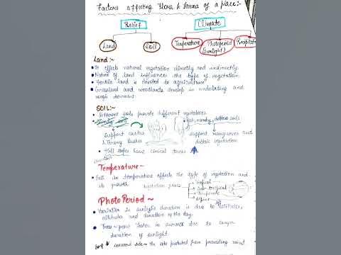 Class 9th Geography | Chapter 5 Natural Vegetation and Wildlife ...
