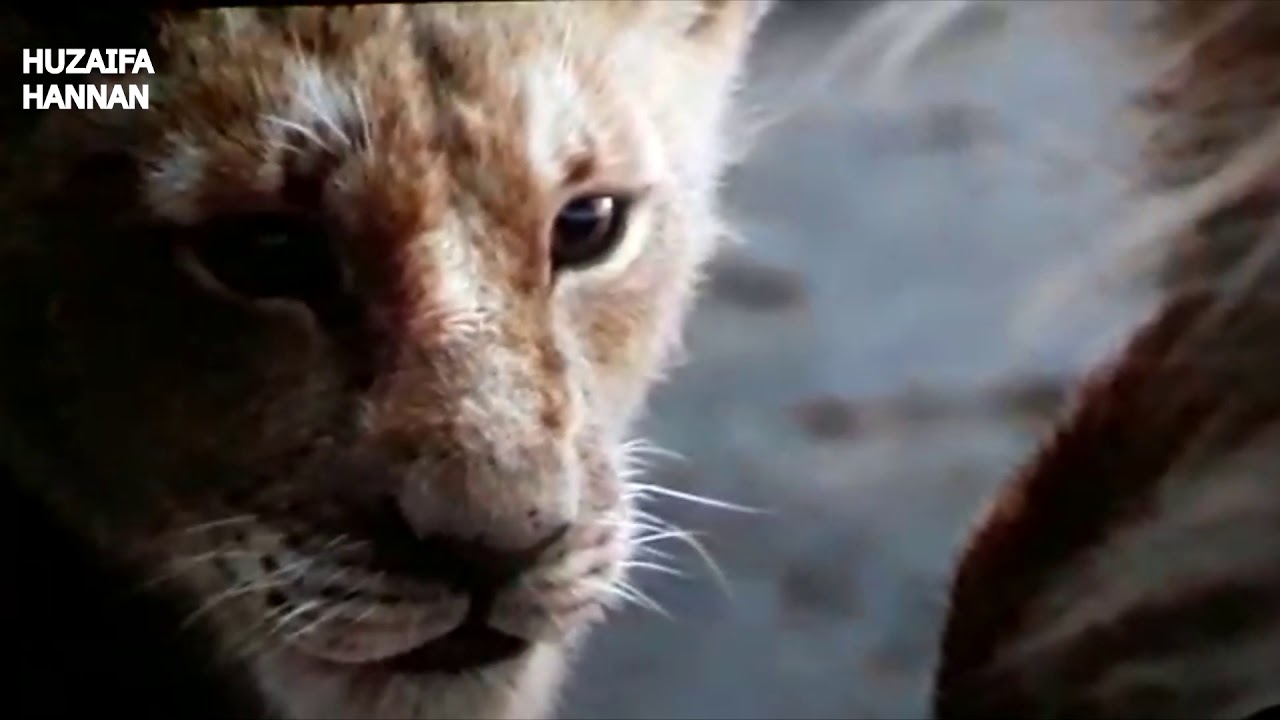 Mufasa full Death Scene(2019) |THE LION KING. - YouTube