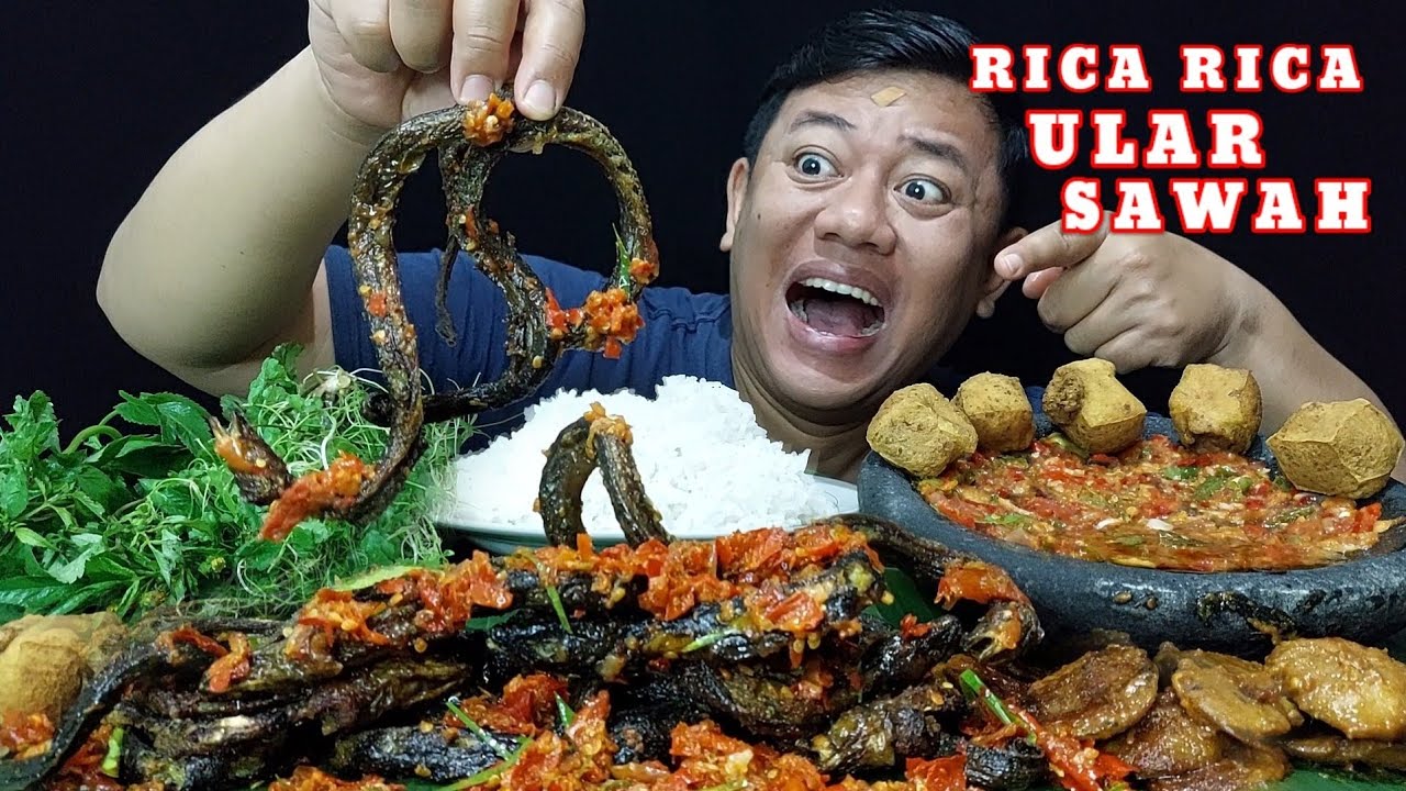 SPESIAL MAKAN RICA RICA ULAR SAWAH SEMUR JENGKOL LALAPAN MENTAH SAMBEL ...