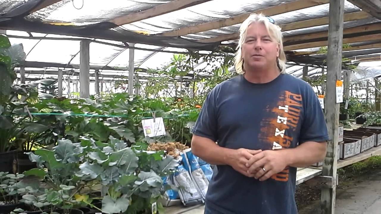 Plant Man Neal Talks Asparagus and Strawbuuurrrys! - YouTube