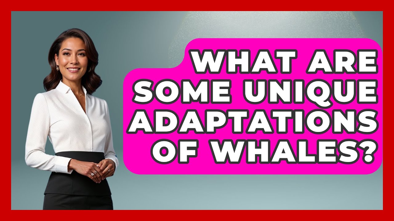 What Are Some Unique Adaptations of Whales? | The Marine Life Explorer ...