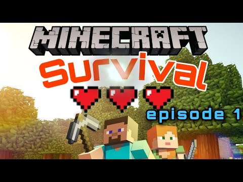 Minecraft New Survival series episode-1 - YouTube