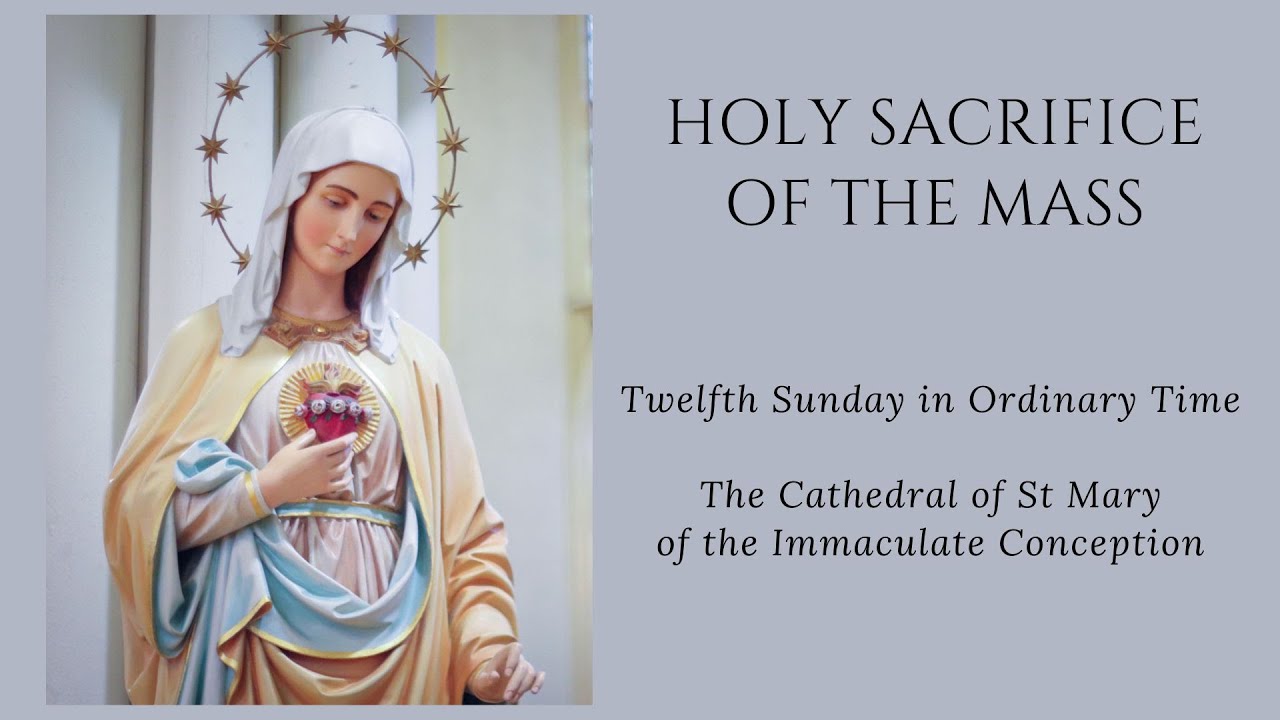 Holy Sacrifice of the Mass for the Twelfth Sunday in Ordinary Time ...