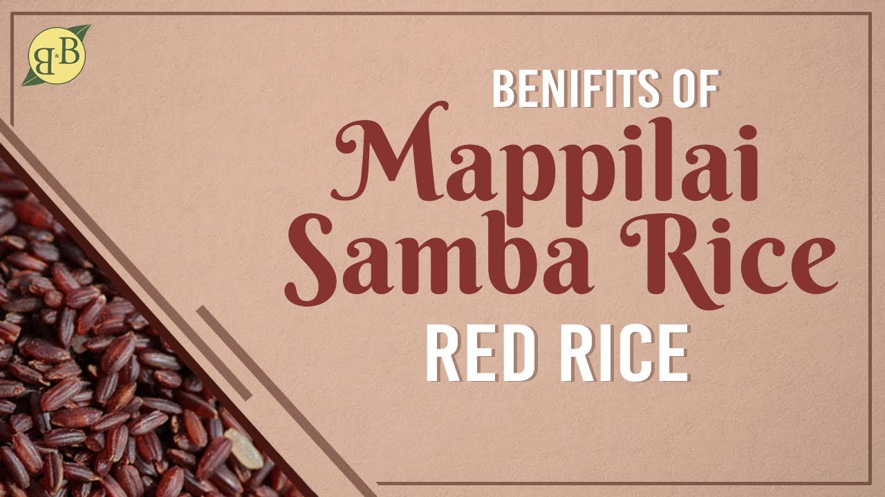 The Shocking Benefits Of Mappilai Samba Rice - Anti Diabetic Rice - YouTube