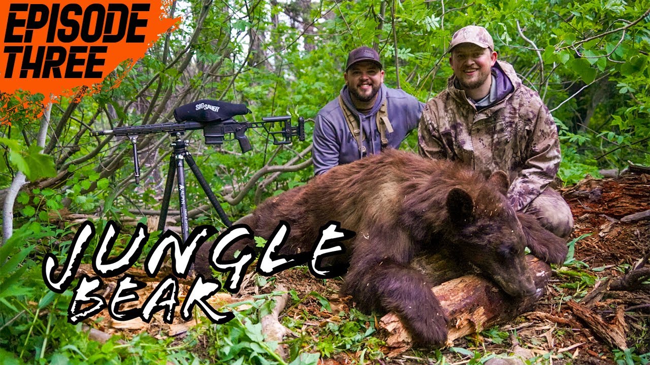 Tracking a Wounded Bear in a Jungle + Setting up a Bear Bait - Icon ...