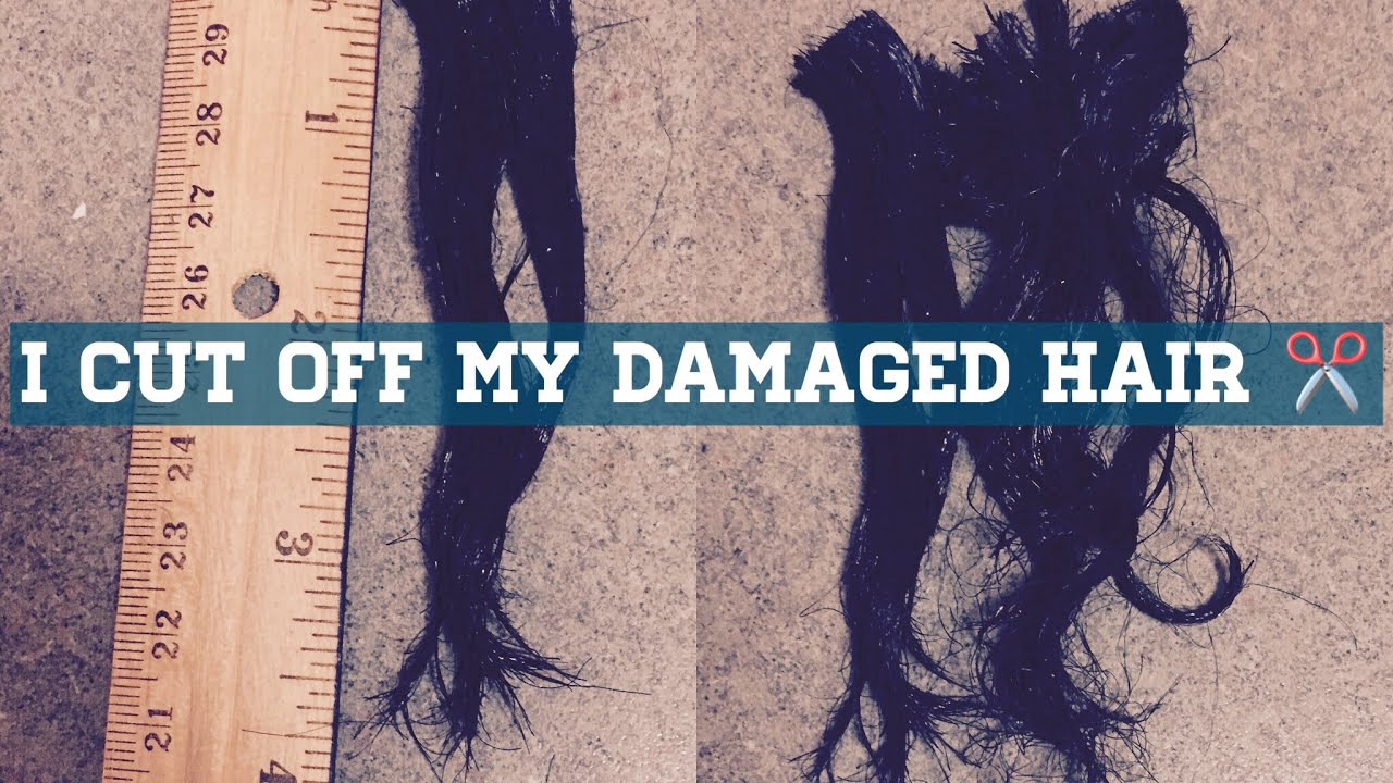 Cutting My Hair Into BANGS Again (Damaged Natural Hair) - YouTube