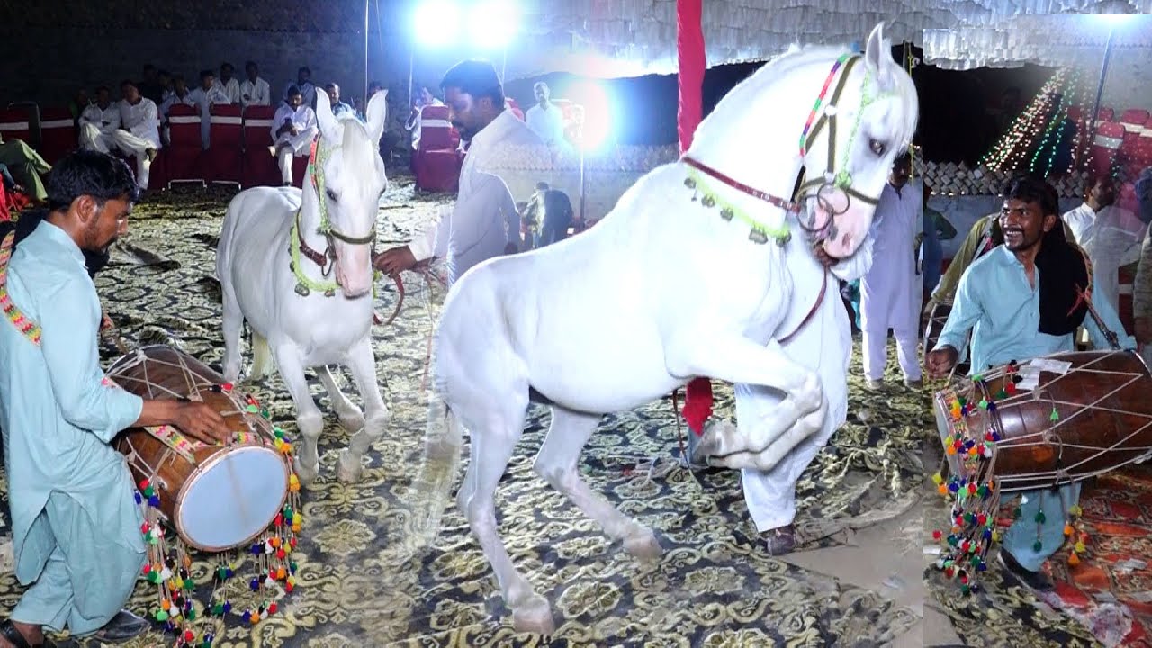 Horse Dance in Wedding Ghora Dance 2023 Part 2 - YouTube