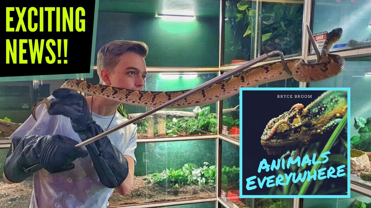 BIG NEWS & How Animals Give Life Purpose | Bryce Broom - The Animals at ...