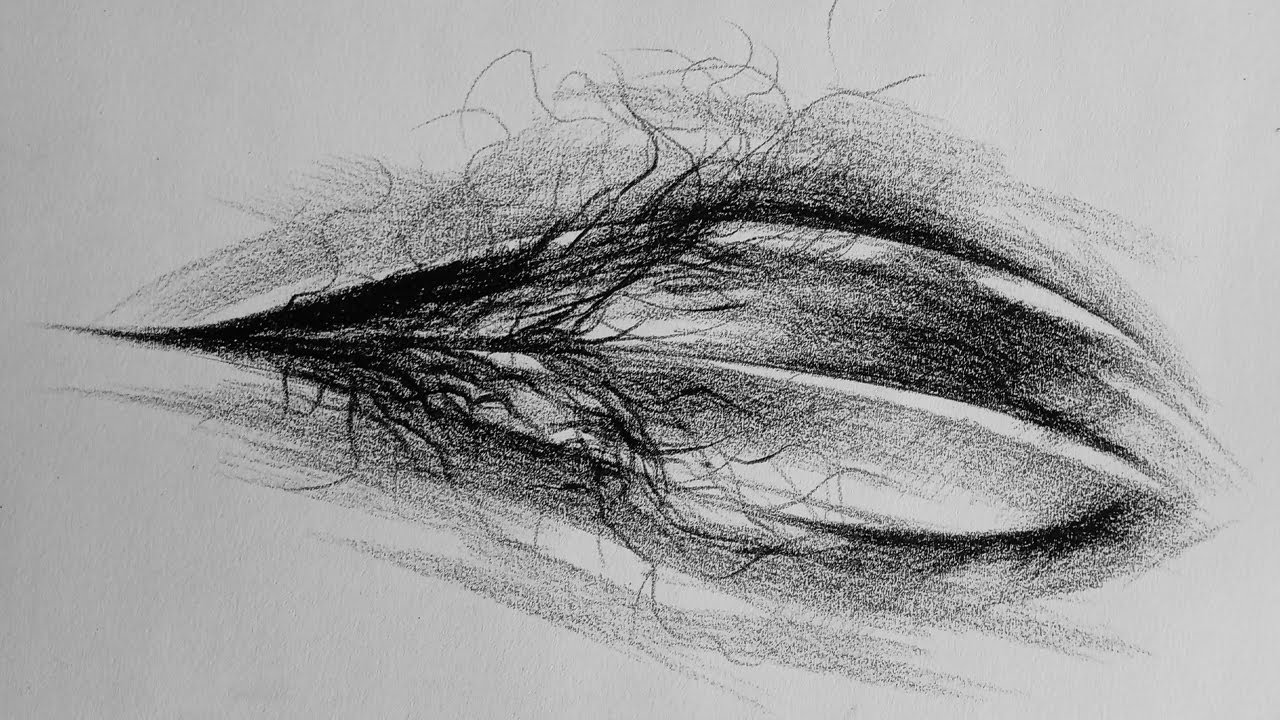 Mango Seed Drawing Easy - YouTube