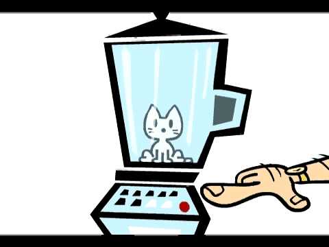 Goodbye Kitty - Test Pilot