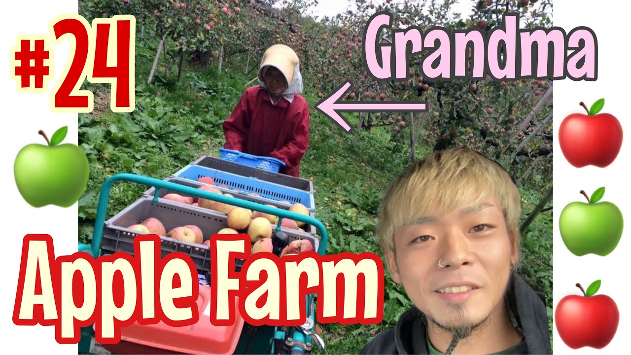 #24 Visit Grandma's Apple Farm - YouTube