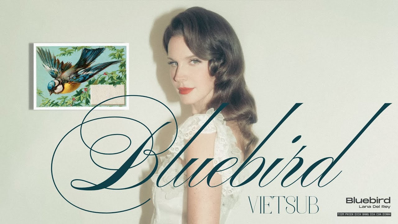 Vietsub - Lyrics || BLUEBIRD - Lana Del Rey - YouTube