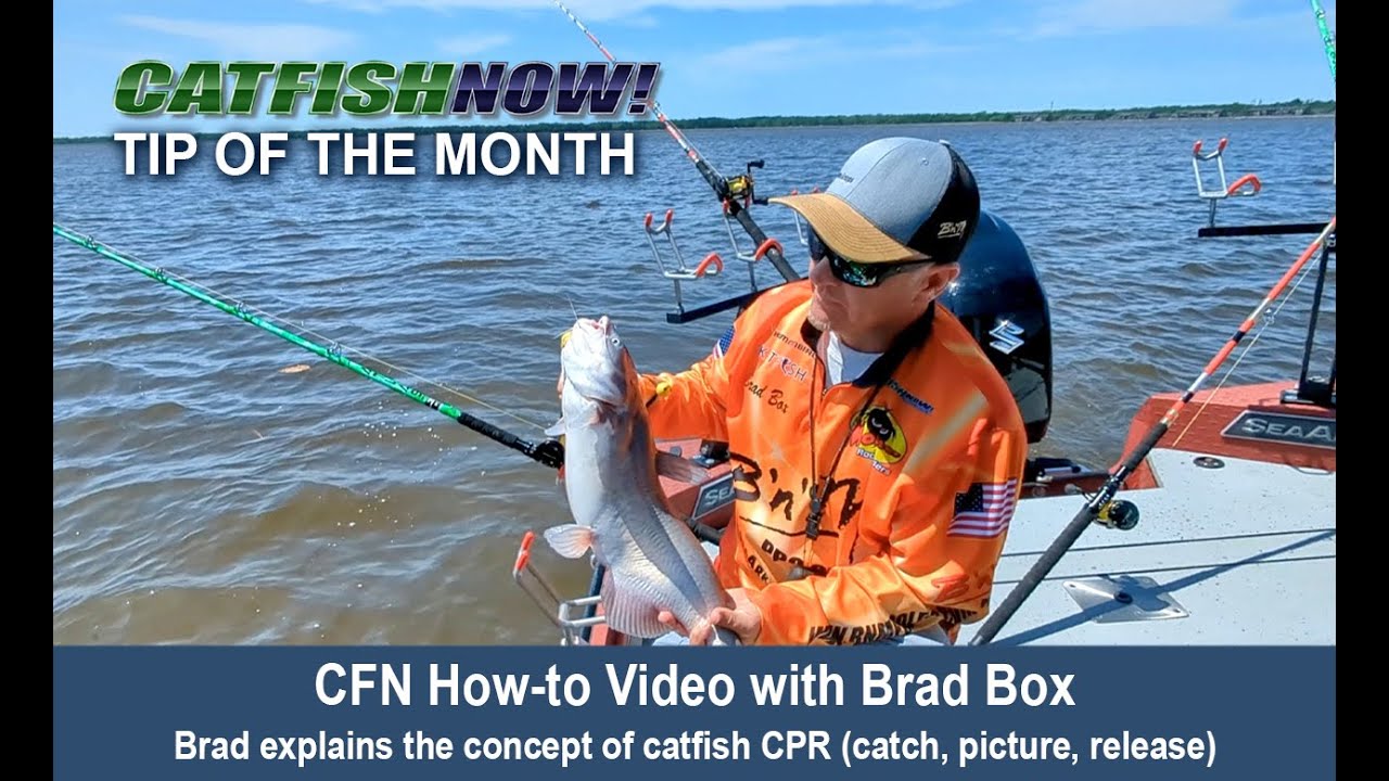 CFN How to Video with Brad Box June 2024 - YouTube