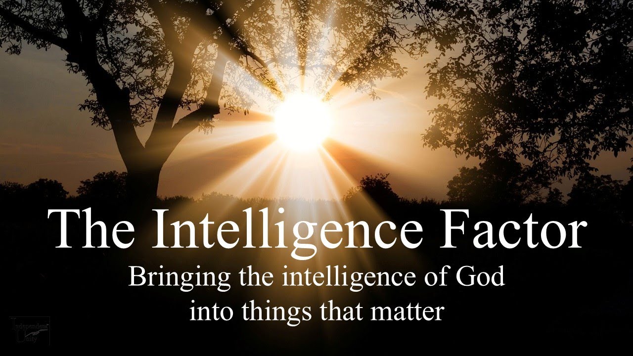 The Intelligence Factor - YouTube