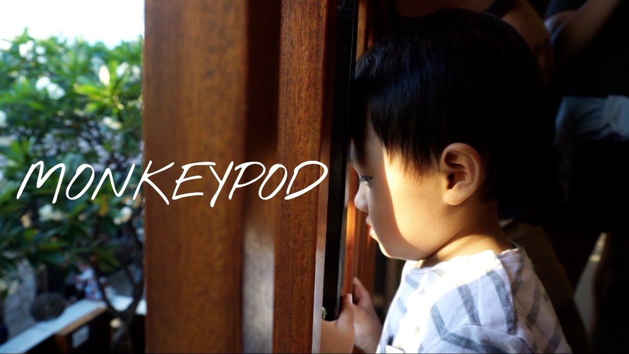 MONKEYPOD. - YouTube