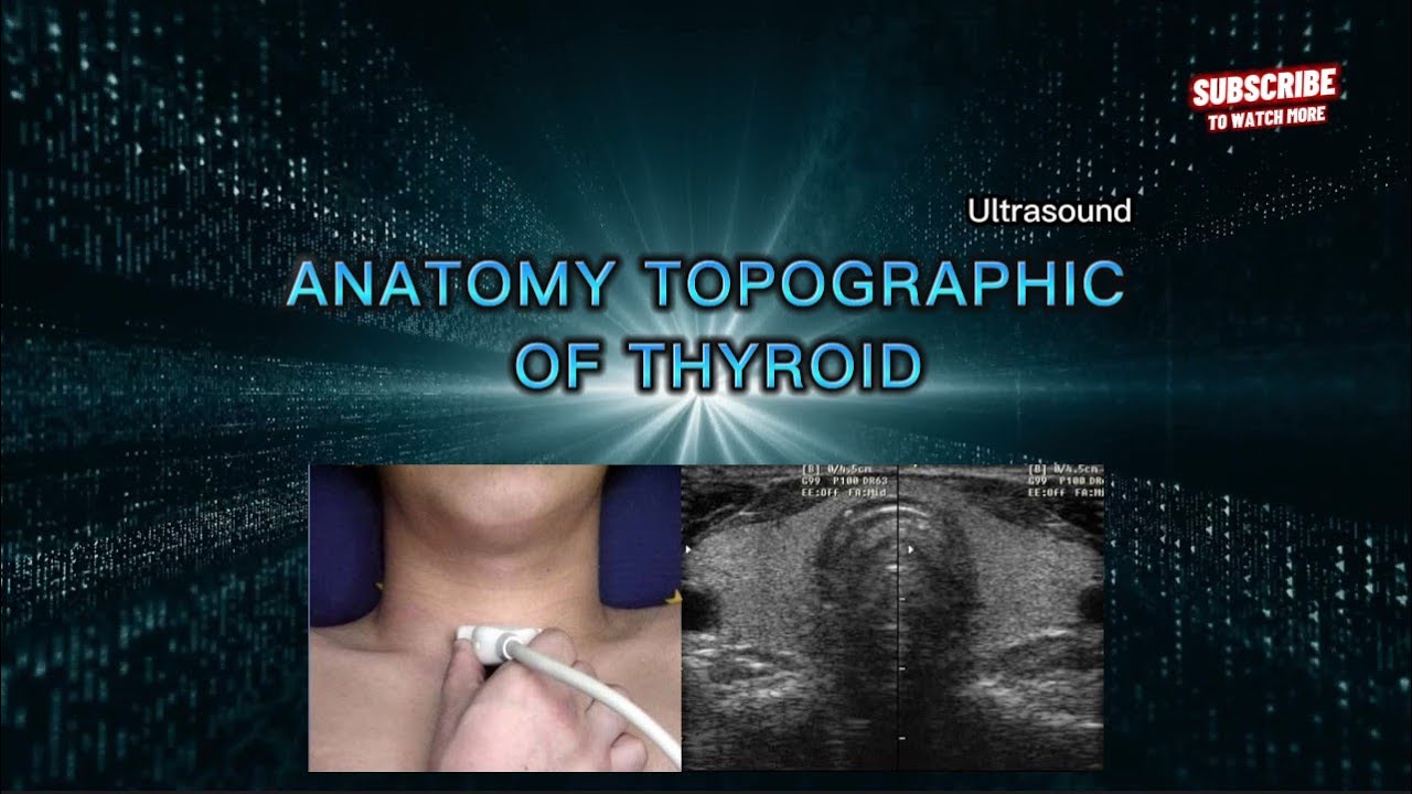 ANATOMY TOPOGRAPHIC OF THYROID, Ultrasound THYROID, Echography Thyroid ...