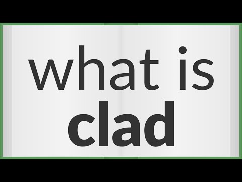 What Is Clad In Early Childhood
