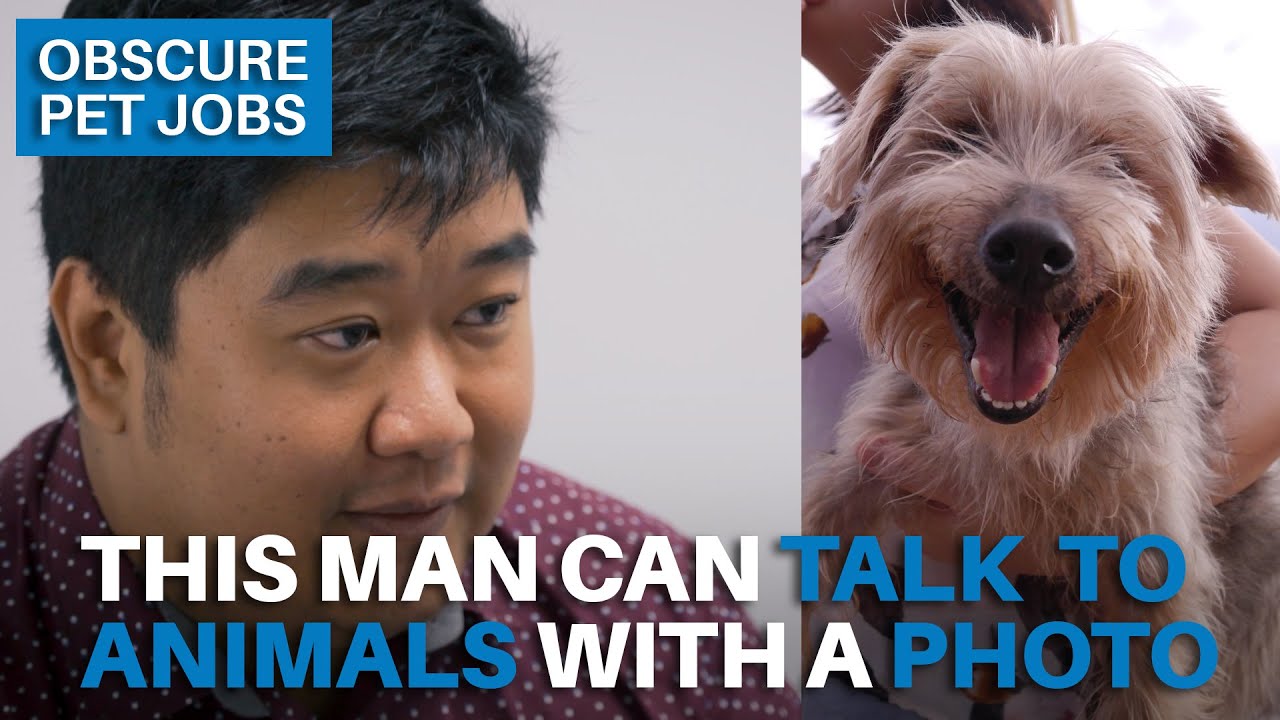 This Man Can Communicate With Animals Using Just a Photo - YouTube