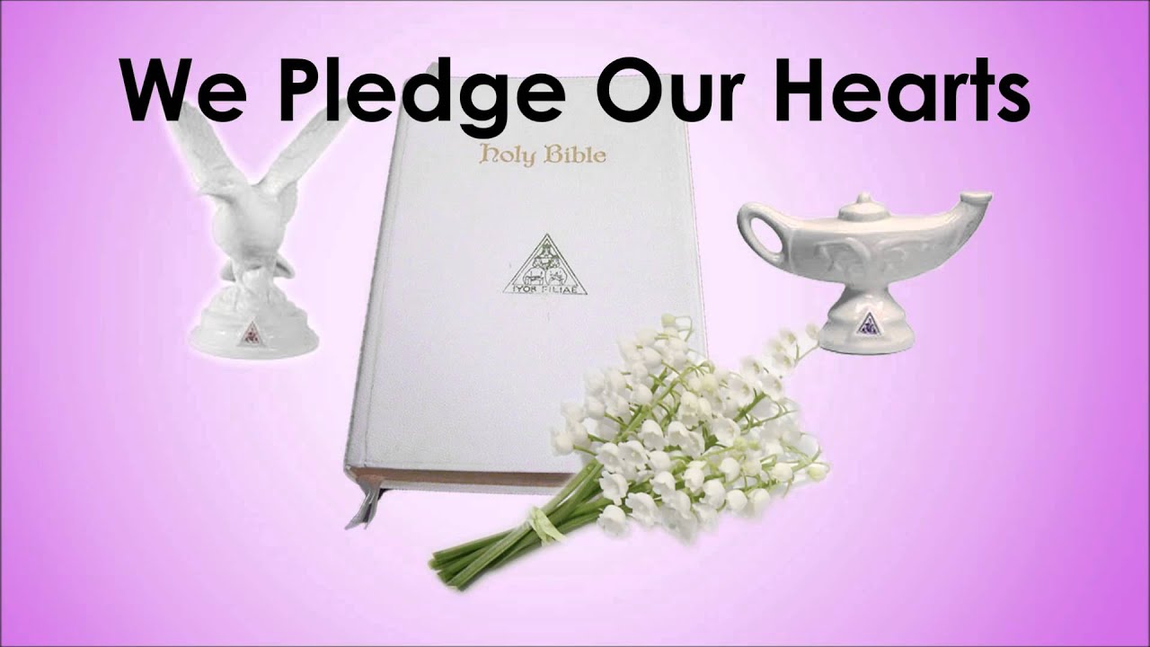 We Pledge Our Hearts - YouTube