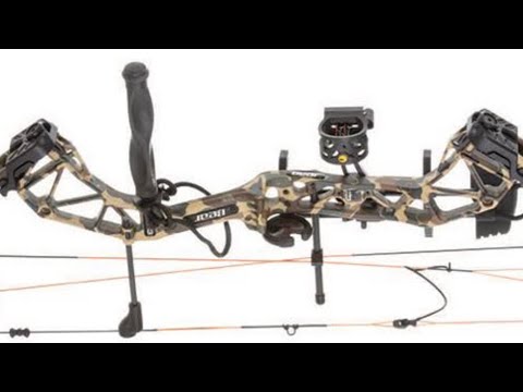 Bear Paradox first group - YouTube