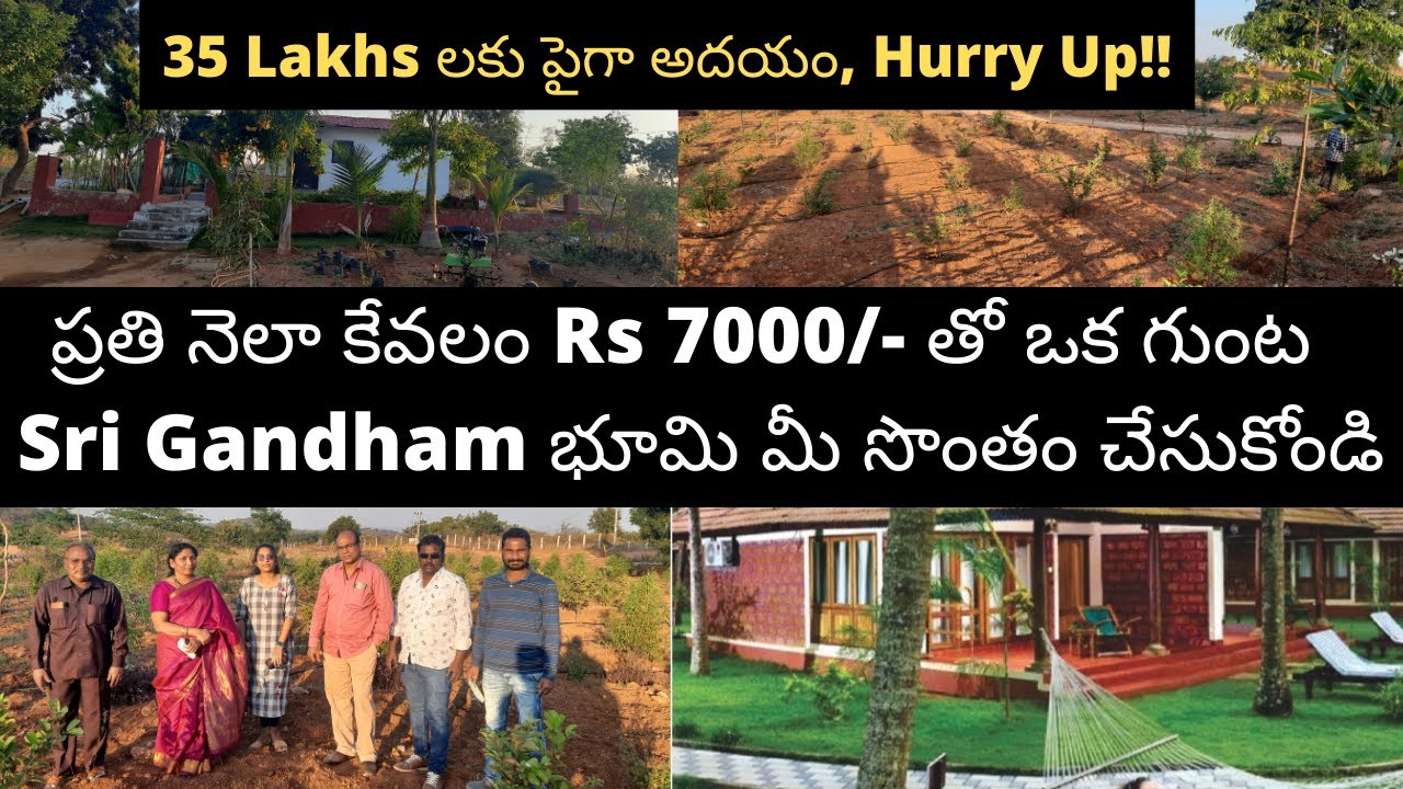 Buy Sri Gandham Plants Farm Land @Just 7000 Without Any Down Payment ...
