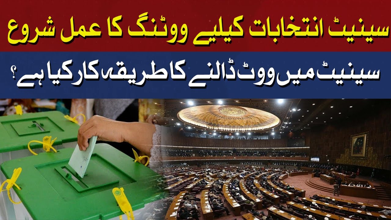 Voting process for Senate elections has Started, What is the Voting ...