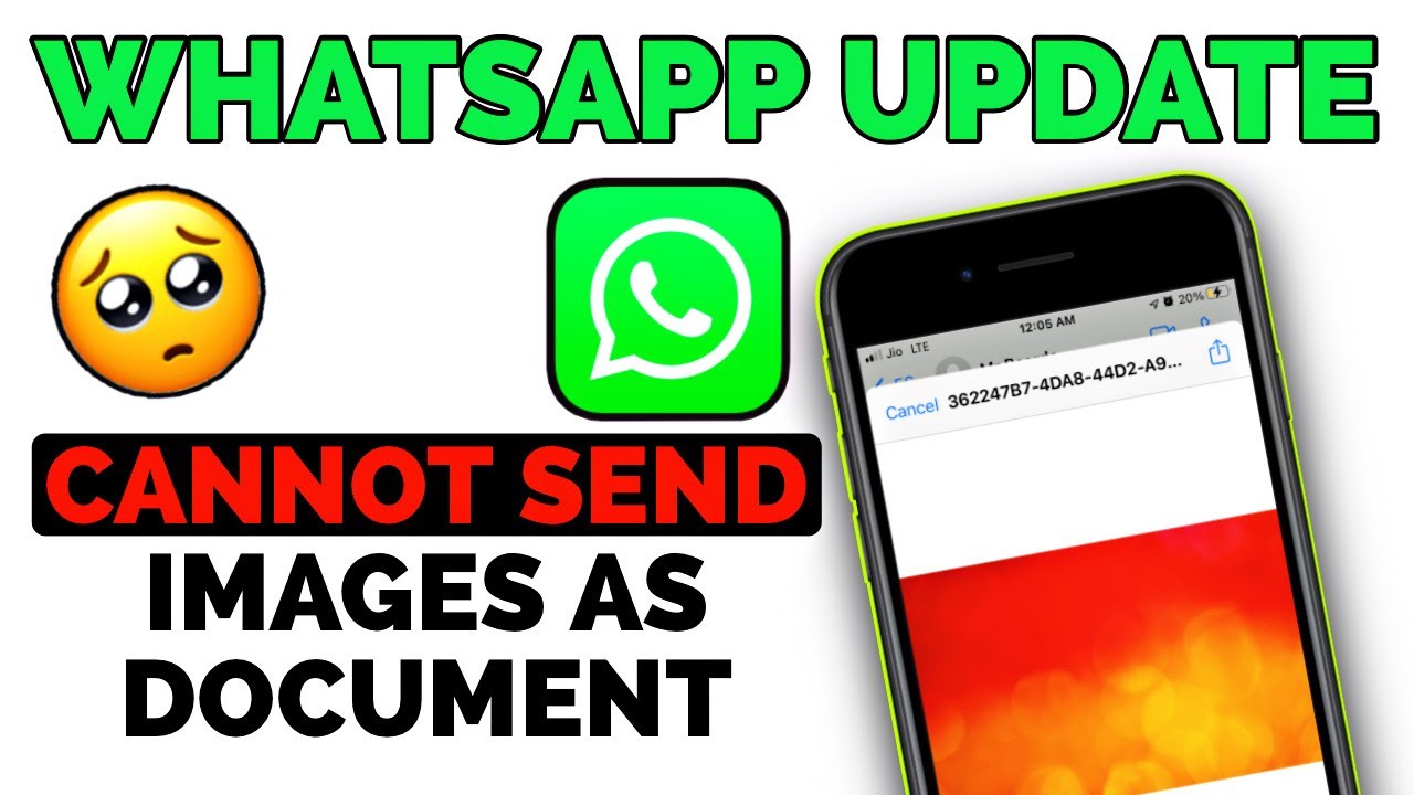 Cannot Send Images As Documents In WhatsApp On IPhone I Document Send Option Not Showing On cannot-send-images-as-documents-in-whatsapp-on-iphone-i-document-send-option-not-showing-on