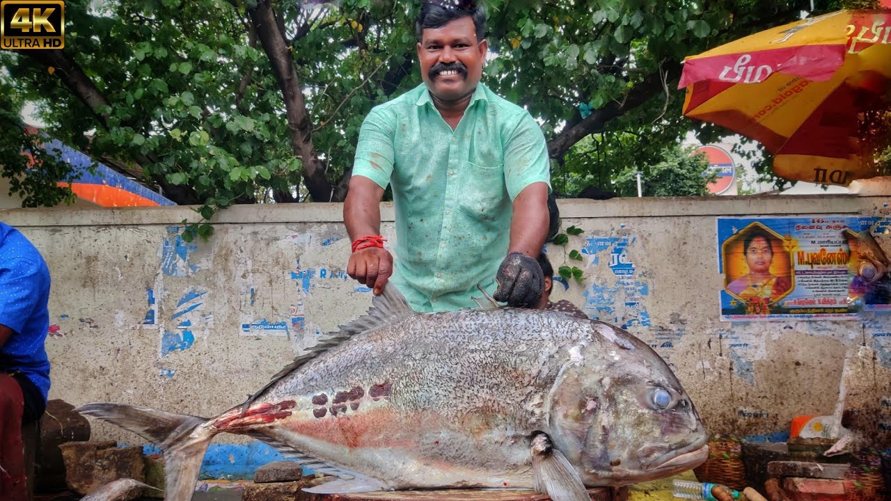 KASIMEDU 🔥 CHEETAH DURAI | BIGGEST GIANT TREVALLY FISH CUTTING VIDEO ...
