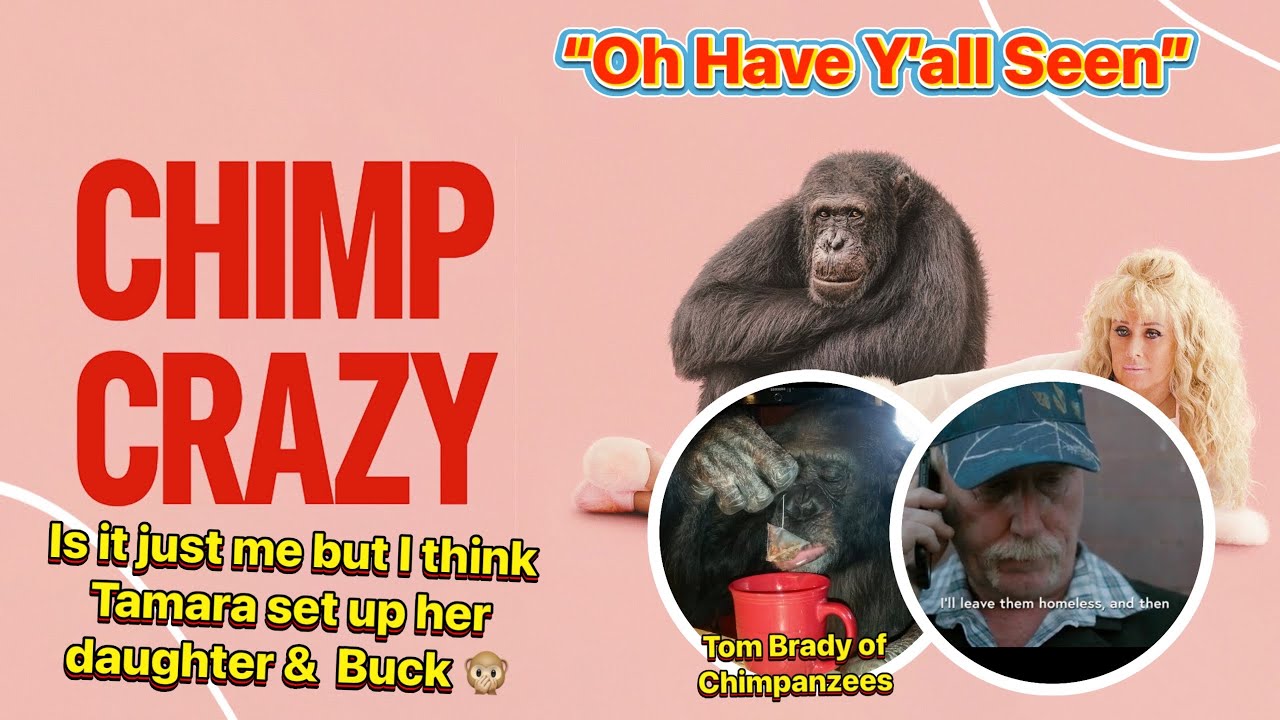 Oh Have Y’all Seen|Chimp Crazy| Season 1: Episode 3: Head Shot (Review ...