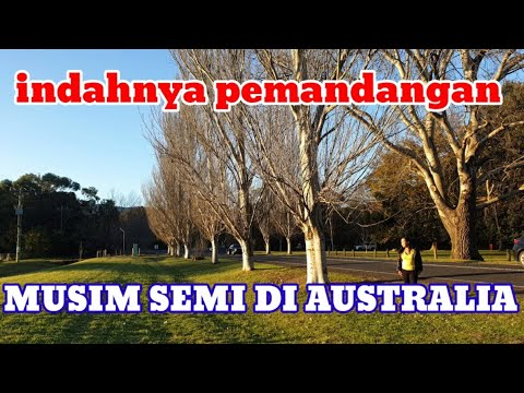 MUSIM SEMI DI AUSTRALIA | indahnya pemandangan - YouTube