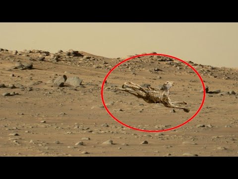 NASA Perseverance Rover 4k Video Footage || Mars Stunning Live Video ...
