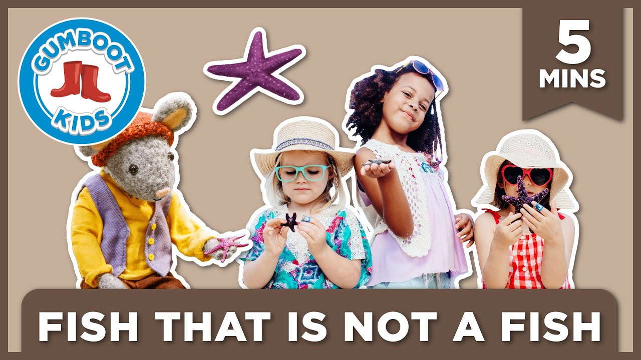 ⭐ The Case of the Fish that is Not a Fish | Scout & the Gumboot Kids ...