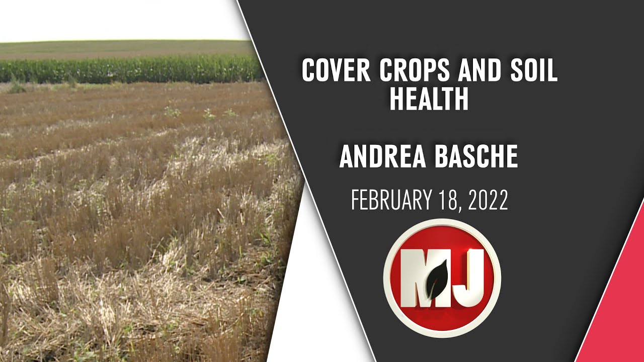 Cover Crops | Andrea Basche | February 18, 2022 - YouTube