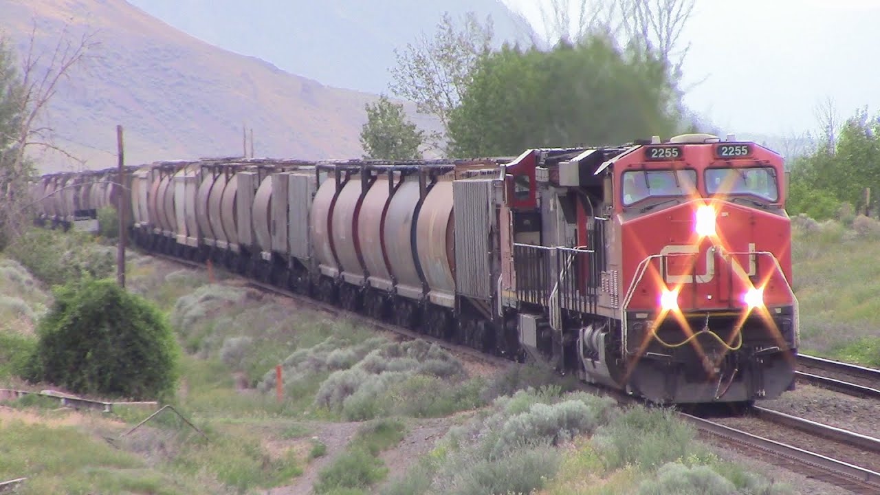 CN Unit Grain Train 843 at Kissick, BC (June 8, 2016) - YouTube
