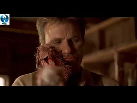 Skull Land_ Don't Take it Lightly _ Full Action, Thriller Movie In English